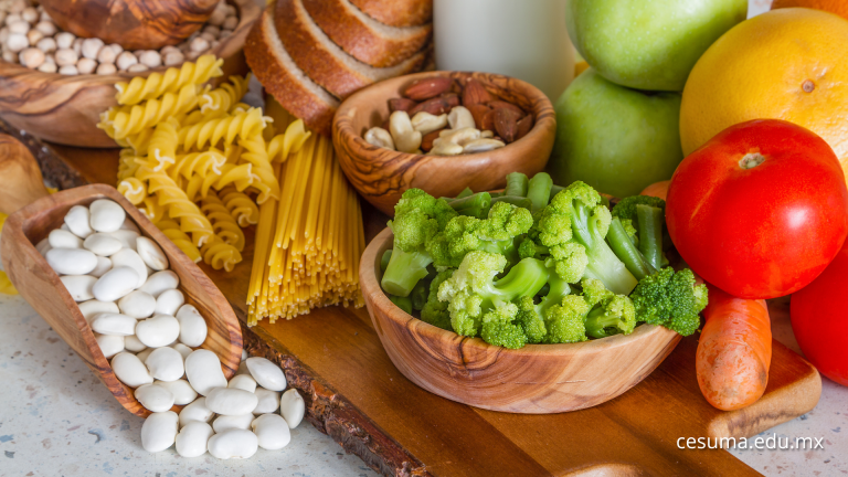 Clasificación de nutrientes - Universidad CESUMA